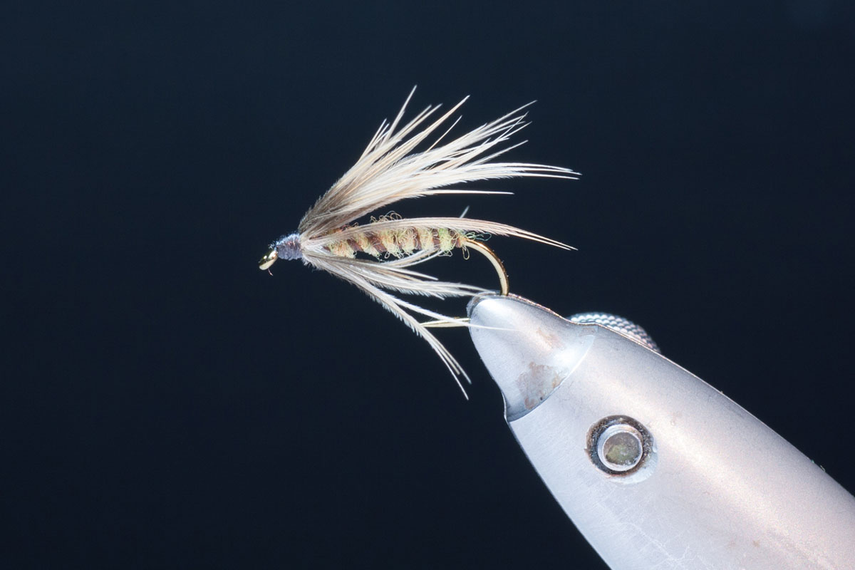 Peute – finestflyfishing.blog